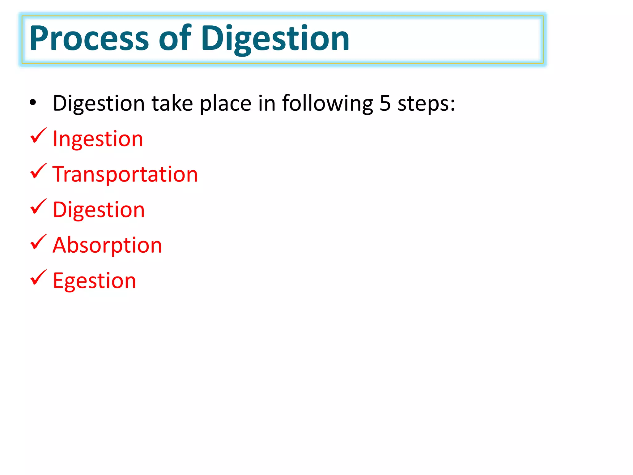 Digestive system of Insects | PPTX