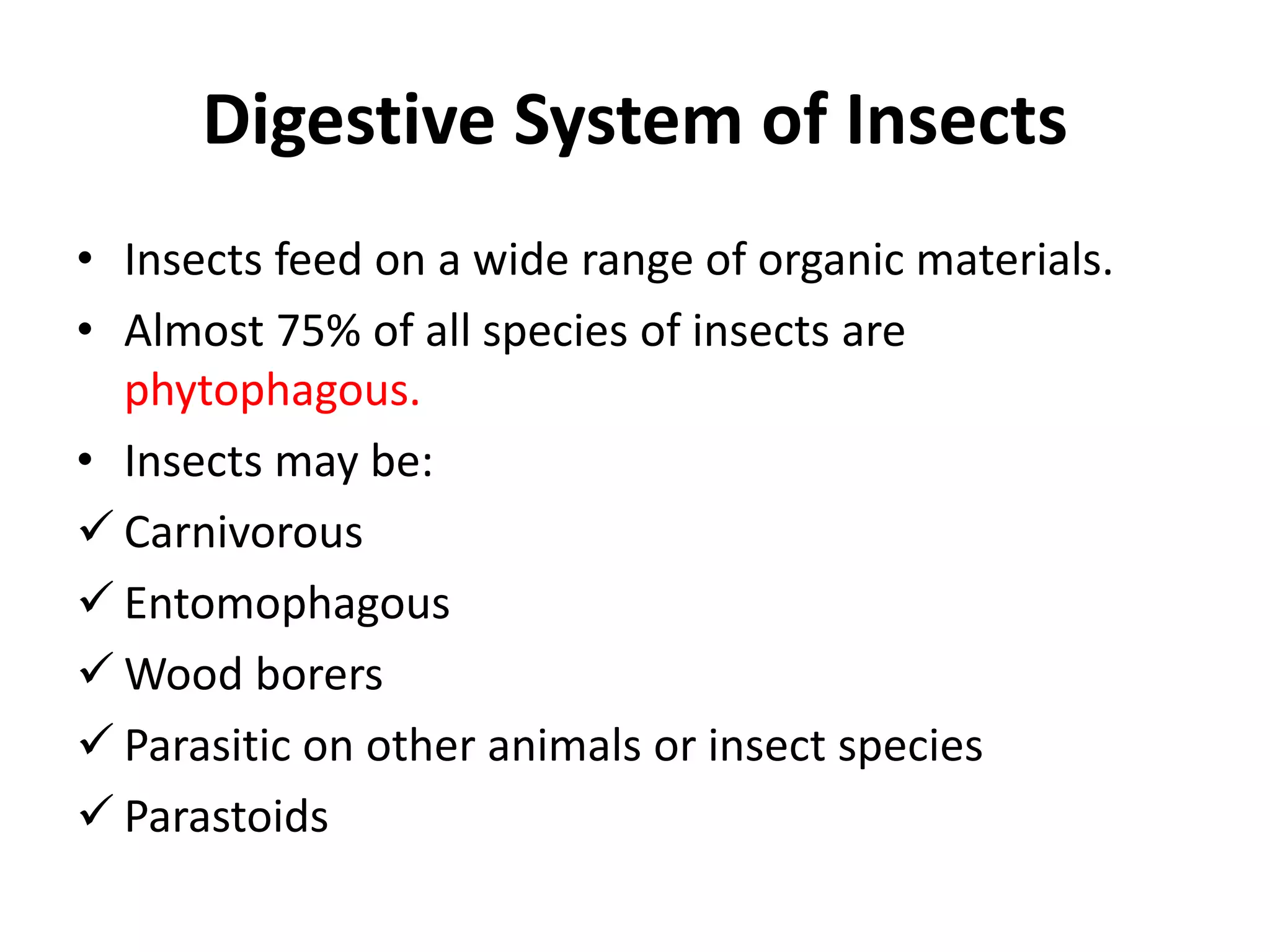 Digestive system of Insects | PPTX