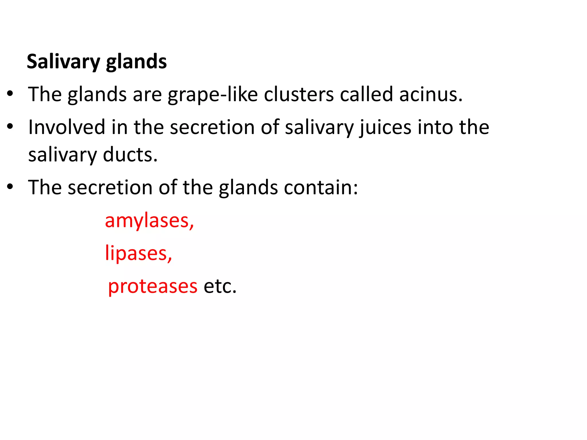 Digestive system of Insects | PPTX