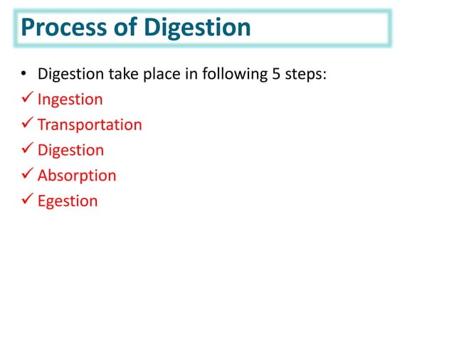 Digestive system of Insects | PPTX | Biological Sciences | Science