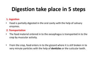 Digestive system of Insects | PPTX