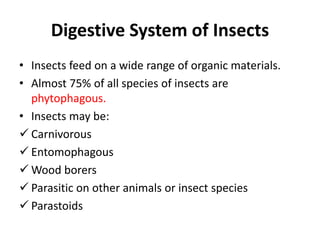 Digestive system of Insects | PPTX
