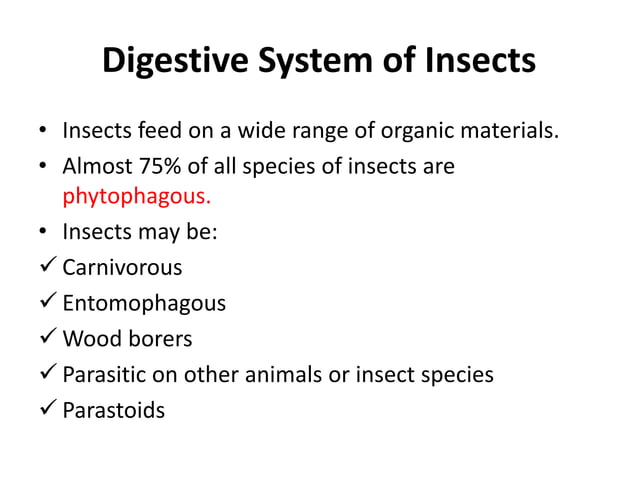 Digestive system of Insects | PPTX | Biological Sciences | Science