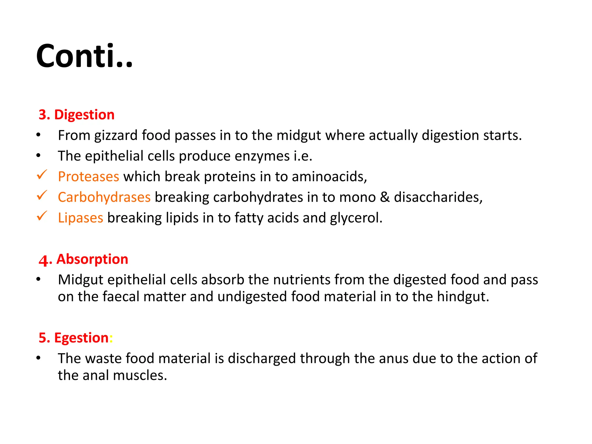 digestivesystem-190611125129 (1). PDF copyright | PDF