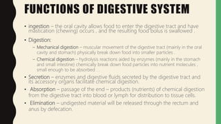 Digestive system | PPTX | Digestive Disorders | Diseases and Conditions