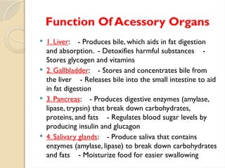 Digestive System with all organs involved in digestion | PPTX