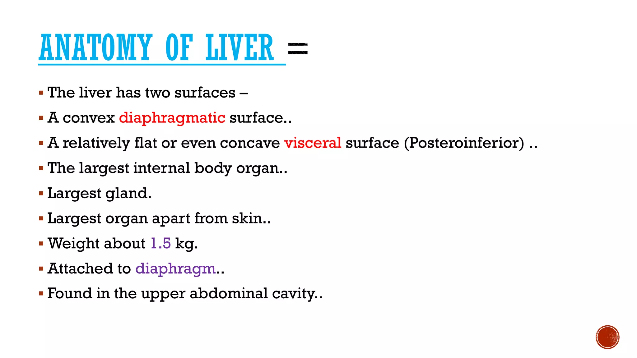 Digestive System - Human Anatomy & Physiology II | PDF