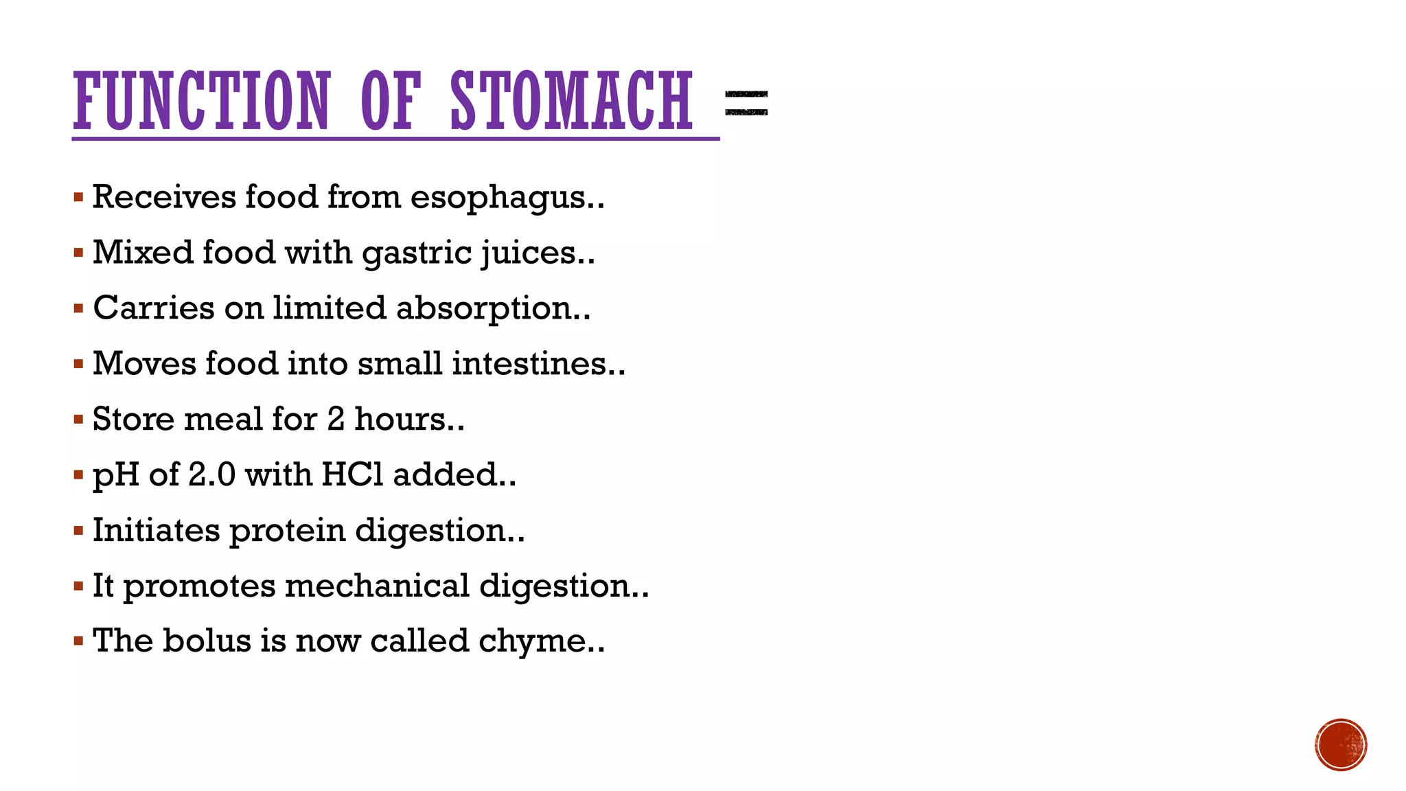 Digestive System - Human Anatomy & Physiology II | PDF