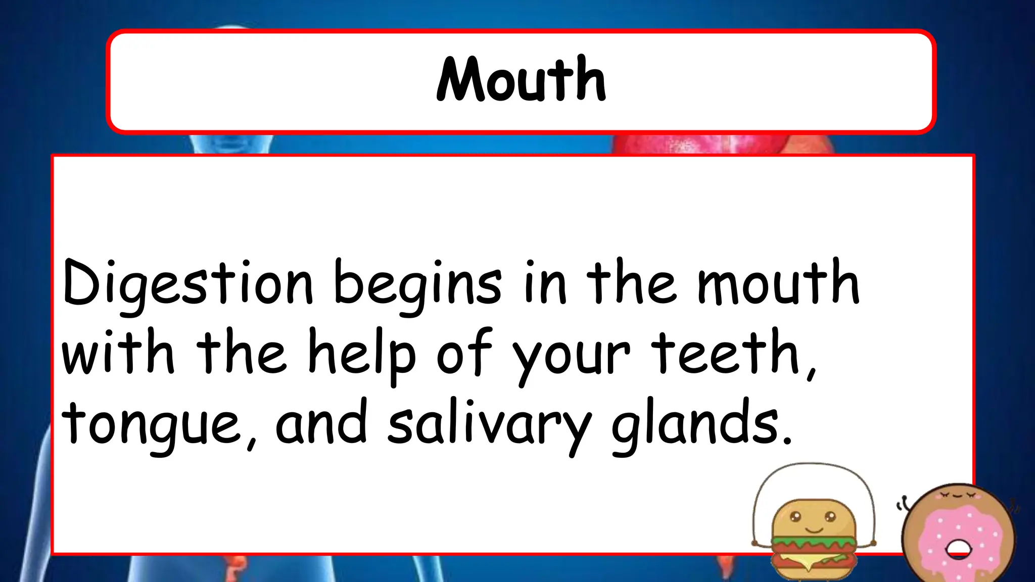 digestivesystem GRADE 6-200209041321.POWERPOINT | PPT