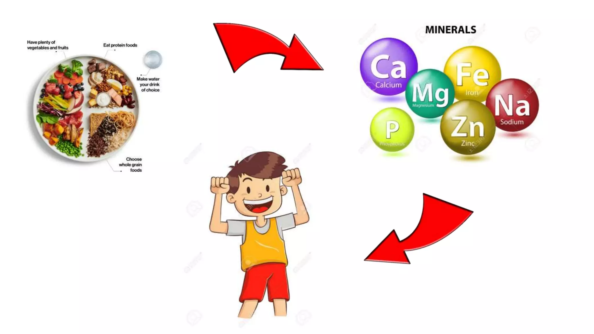 Digestive system Grade 6 | PPTX
