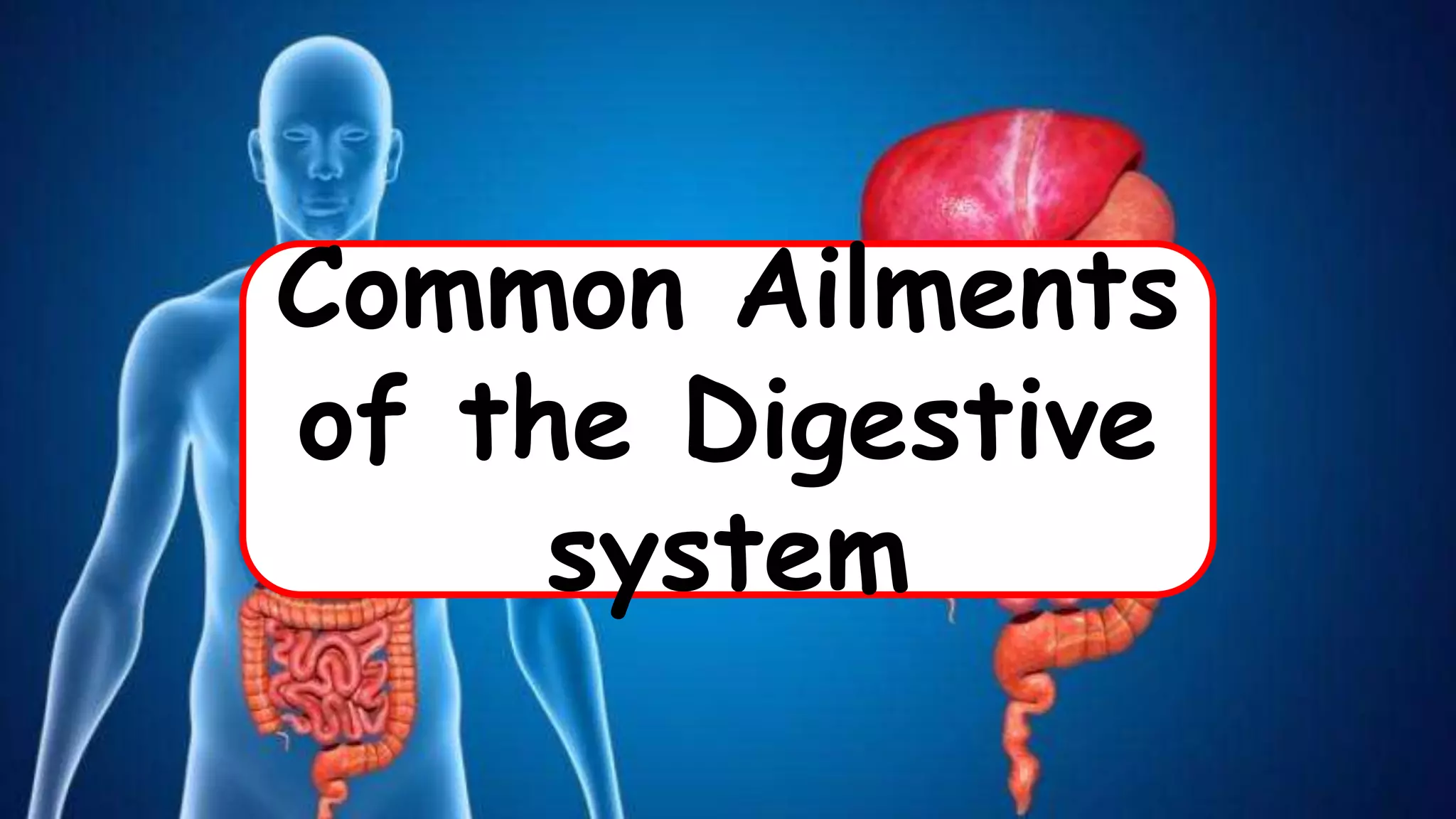 Digestive system Grade 6 | PPTX