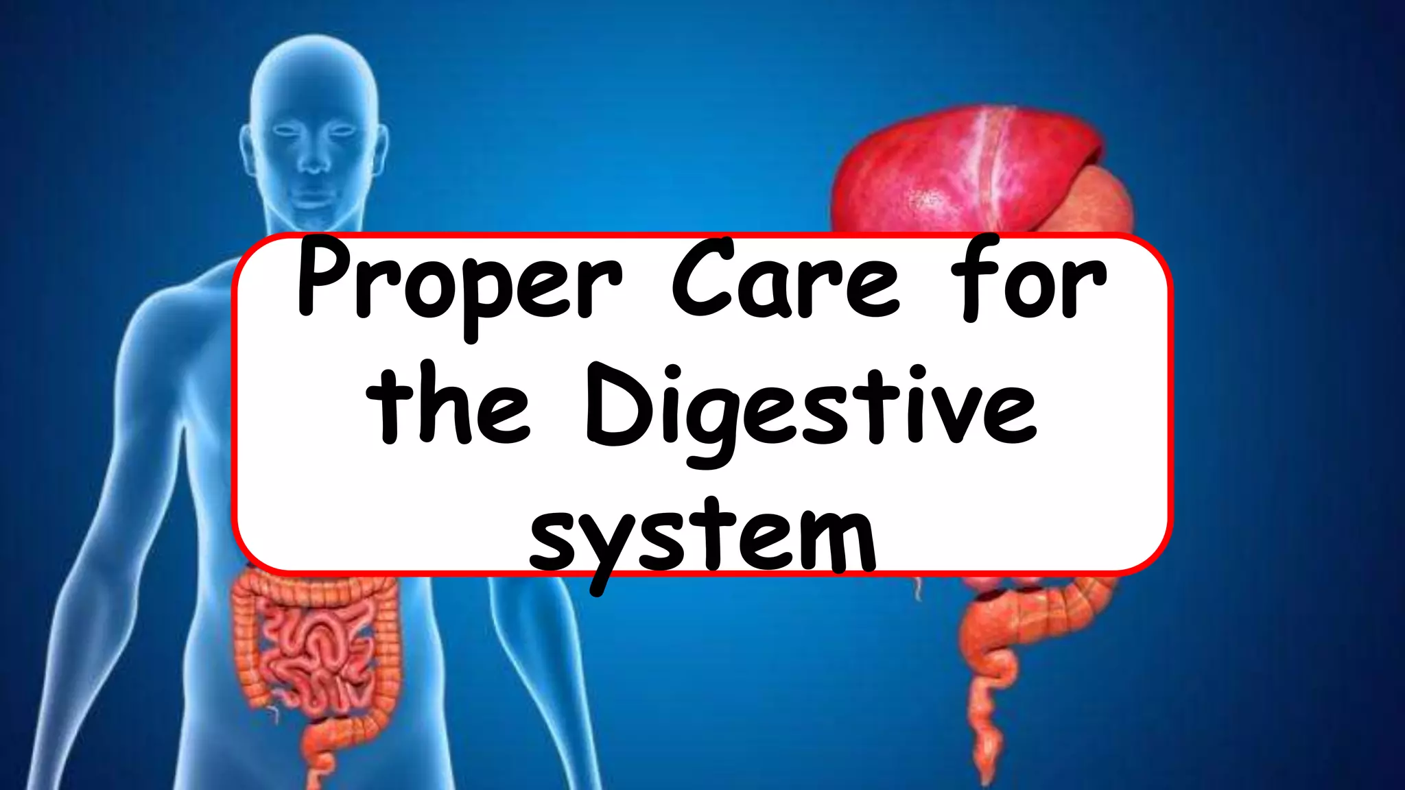 Digestive system Grade 6 | PPTX