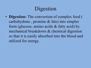 Digestive system | PPT