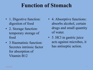 Digestive system | PPT