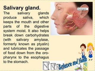 Digestive system | PPTX