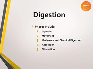 Digestive system | PPTX