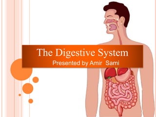 Digestive system | PPT