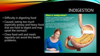 Digestive system | PPTX