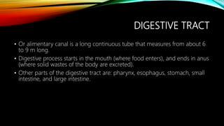 Digestive system | PPTX