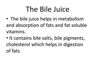Digestive system | PPTX | Endocrine and Metabolic Diseases | Diseases ...