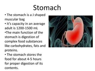 Digestive system | PPTX | Endocrine and Metabolic Diseases | Diseases ...