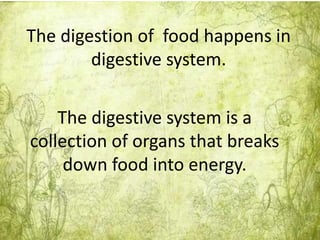 Digestive system | PPT