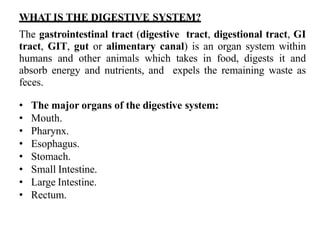 Digestive System | PPTX