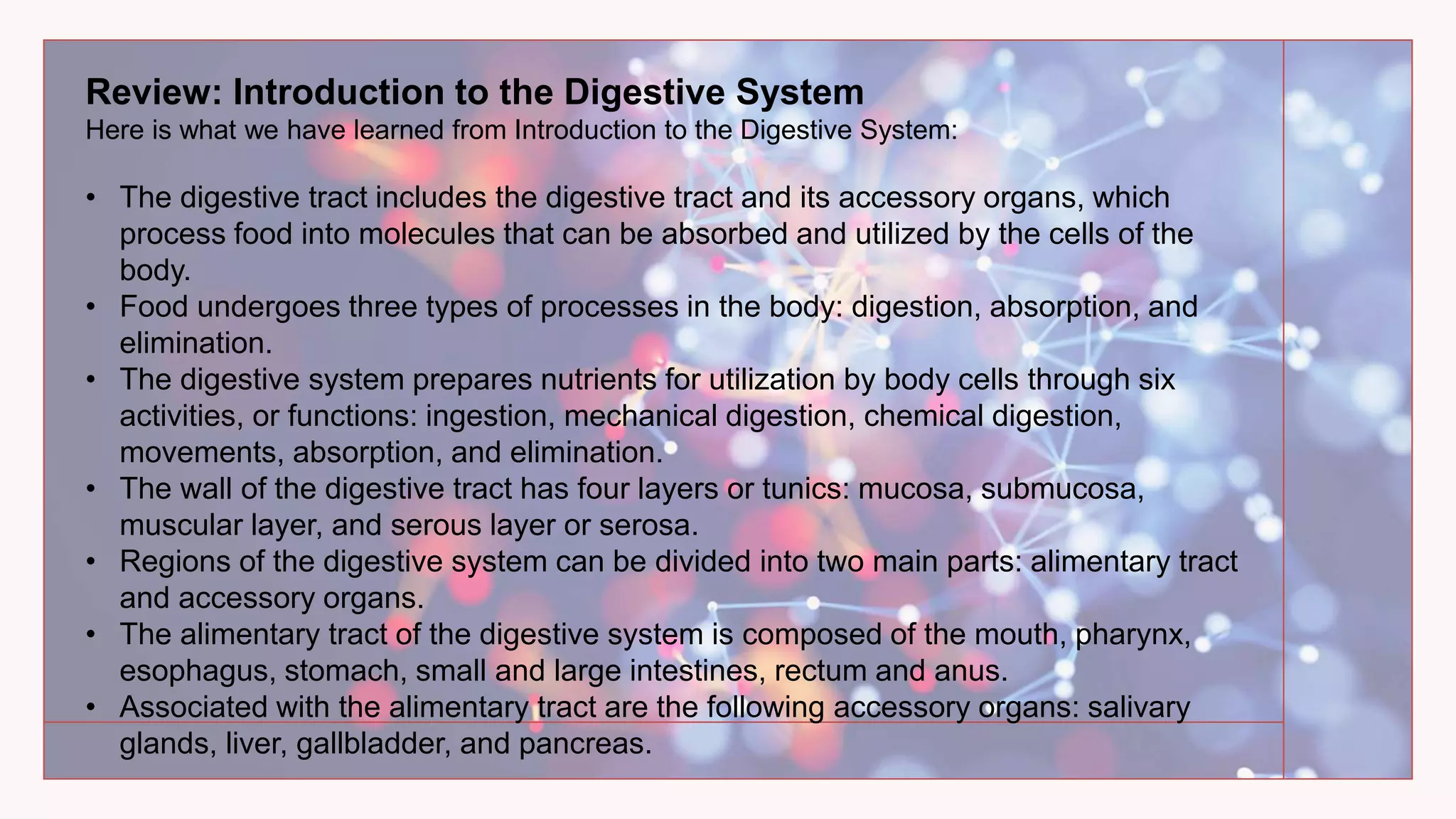 Digestive system | PPTX