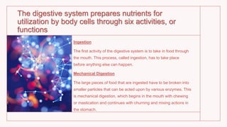 Digestive system | PPT