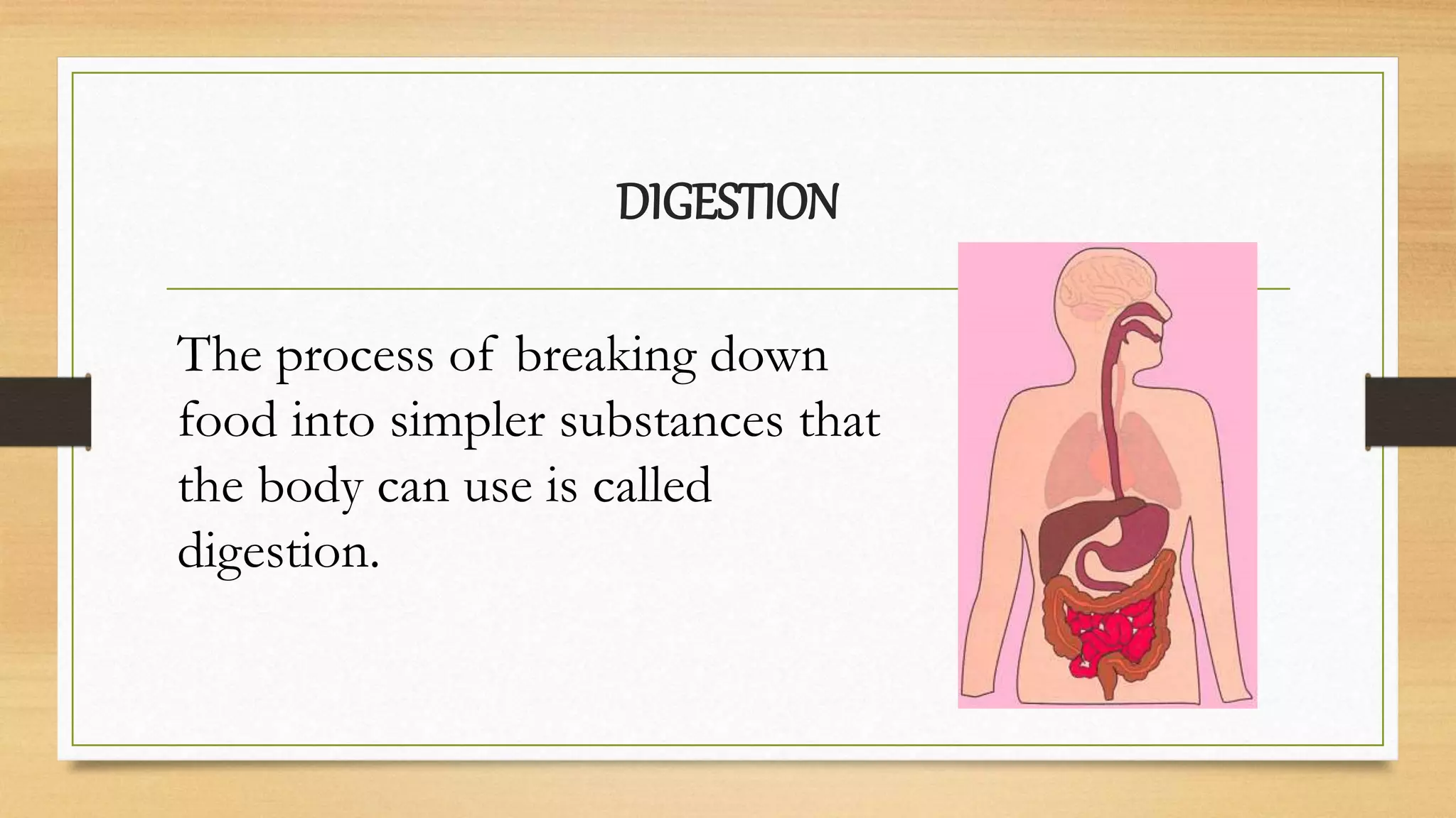 Digestive system - CLASS V | PPTX