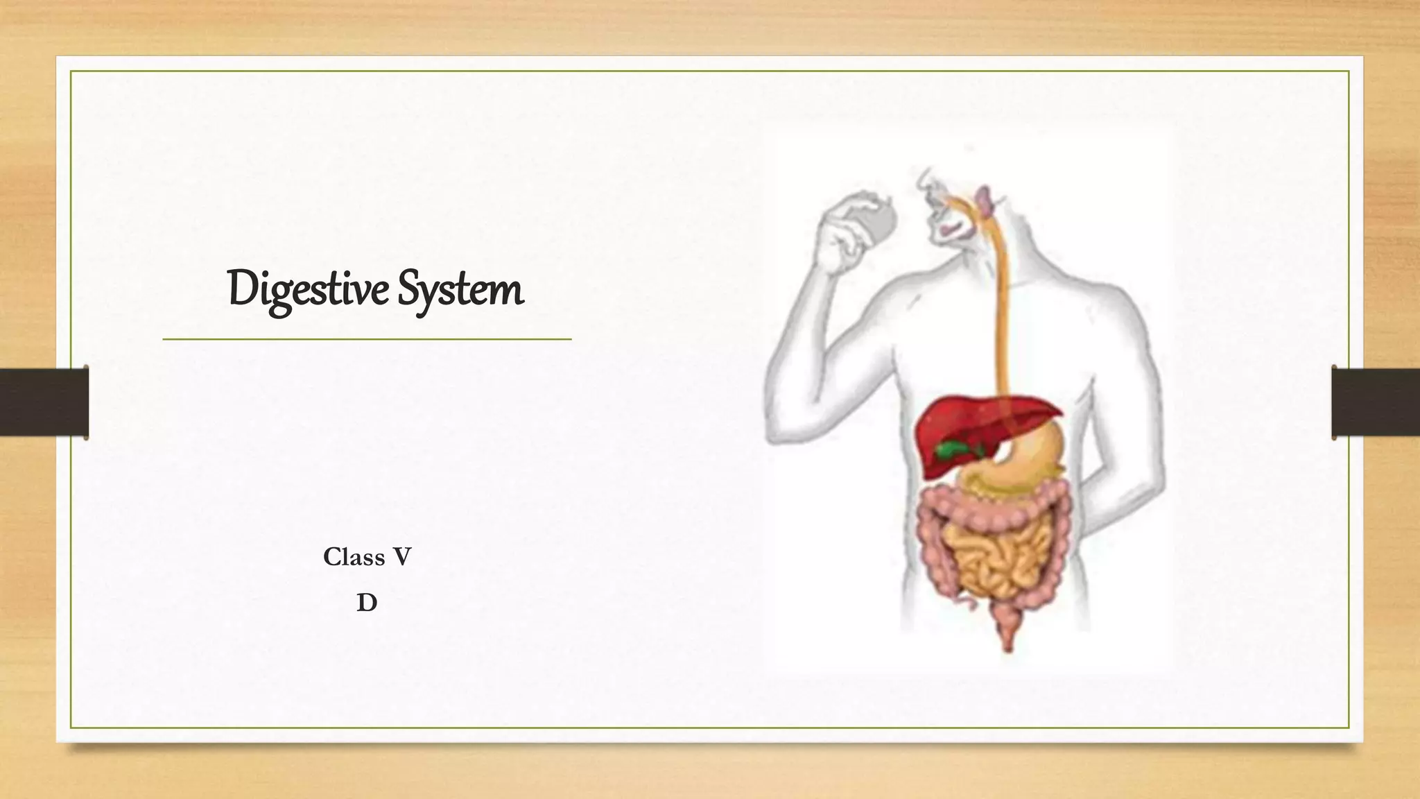 Digestive system - CLASS V | PPTX