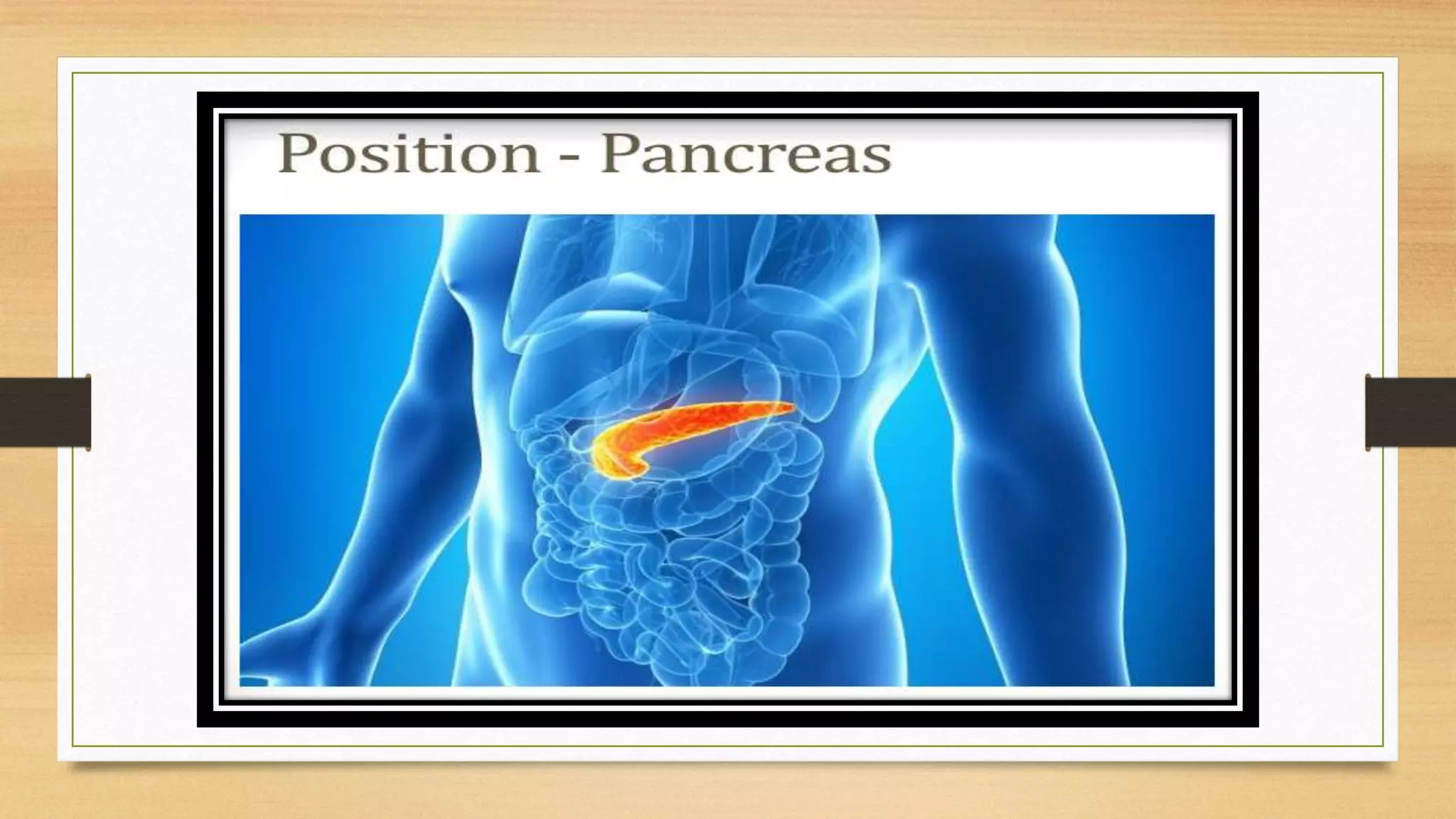 Digestive system - CLASS V | PPTX