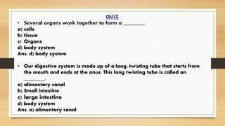 Digestive system - CLASS V | PPTX