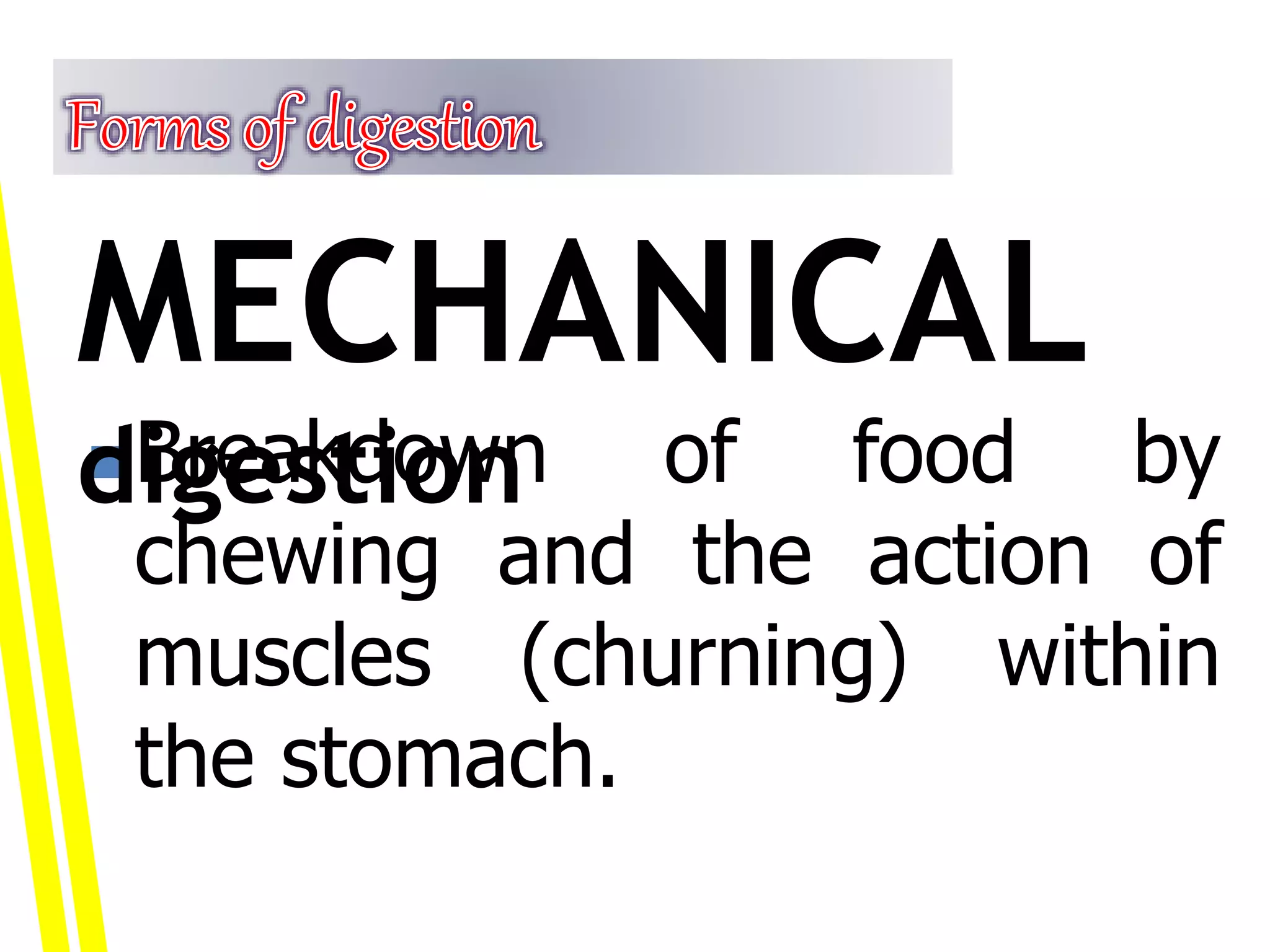 Digestive system | PPTX