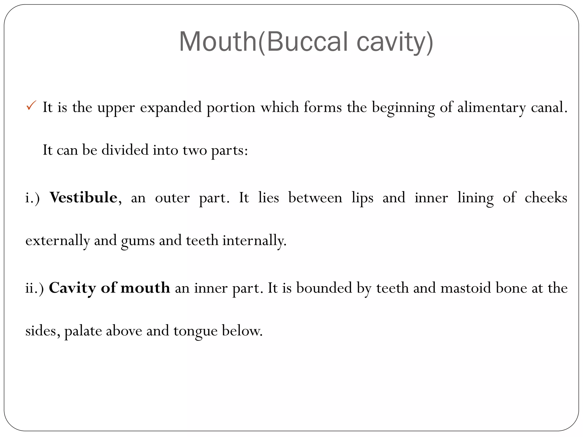 Digestive system | PDF