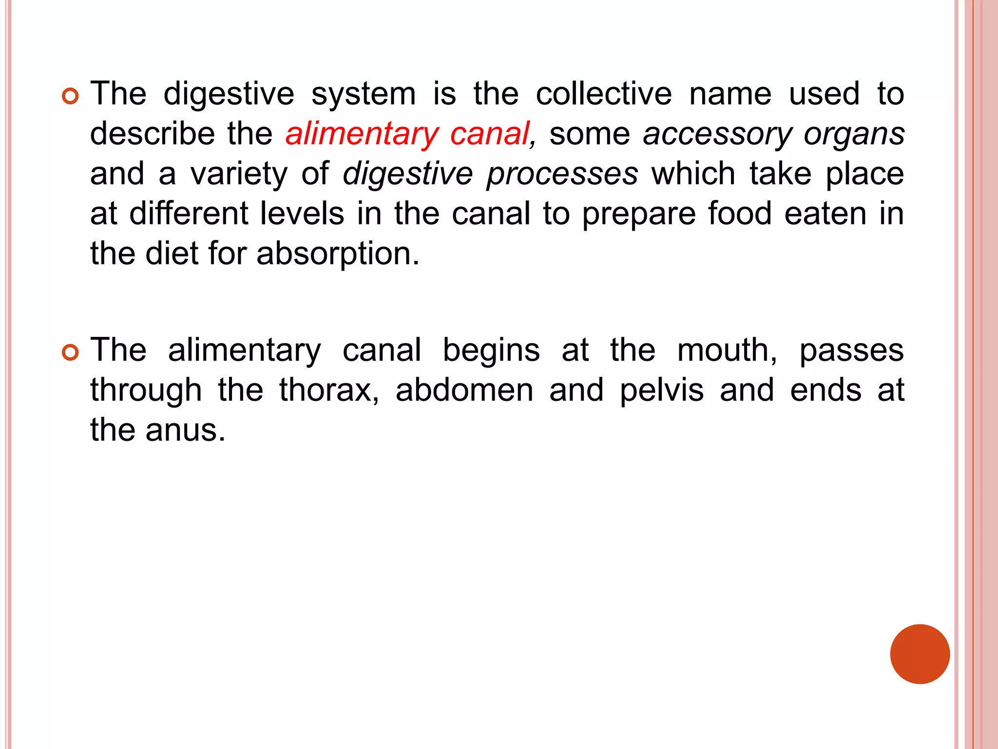 Digestive system | PPT
