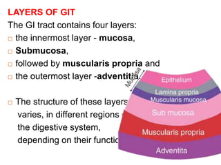 Digestive system - Anatomy & Physiology - B.Pharm & Pharm.D | PPT