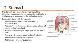 Digestive system | PPTX
