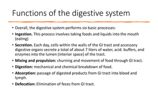 Digestive system | PPTX