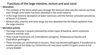 Digestive system | PPTX