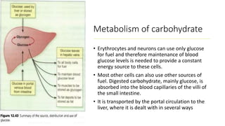 Digestive system | PPTX