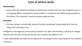 Digestive system | PPTX