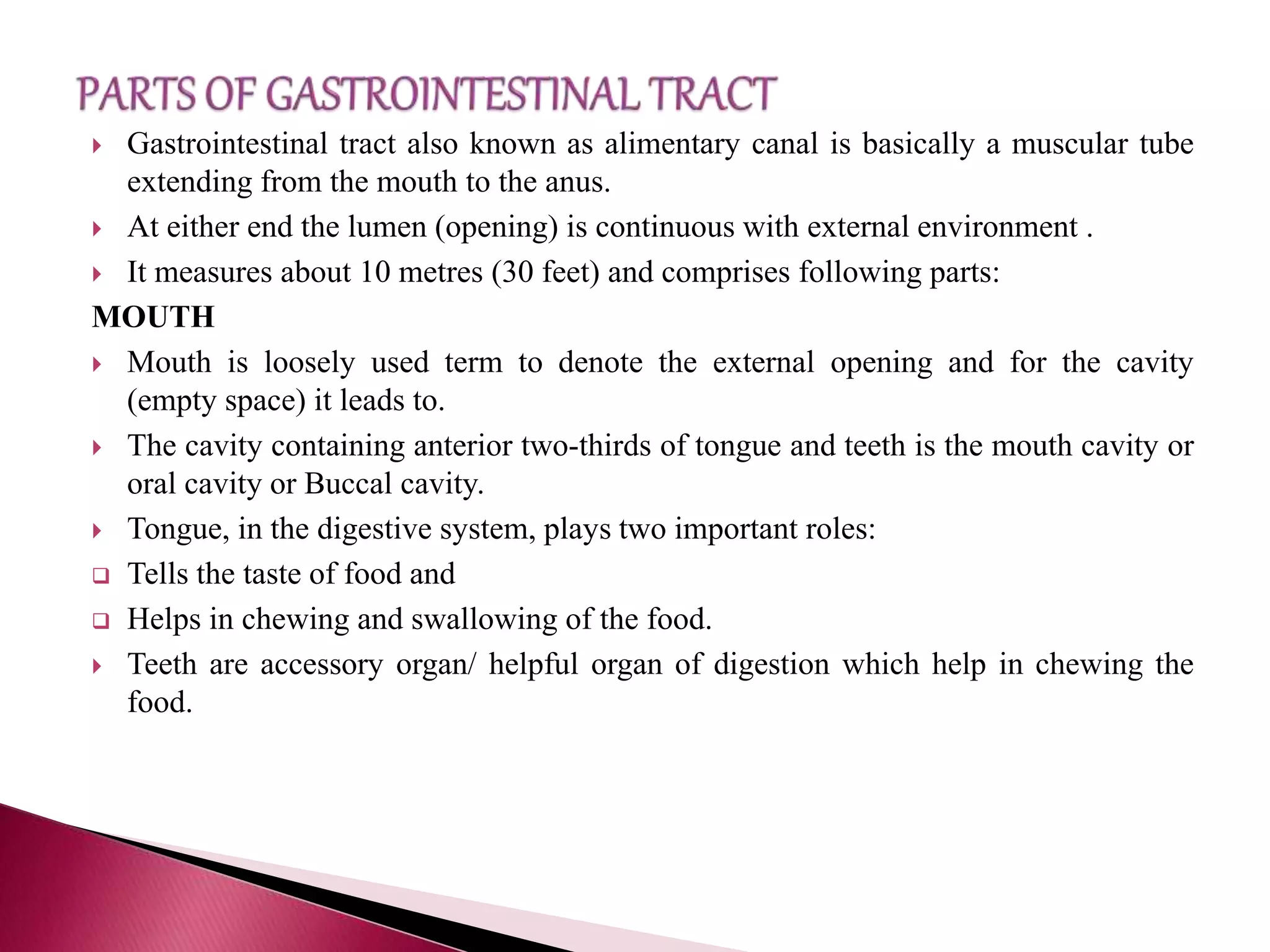 Digestive system | PPT
