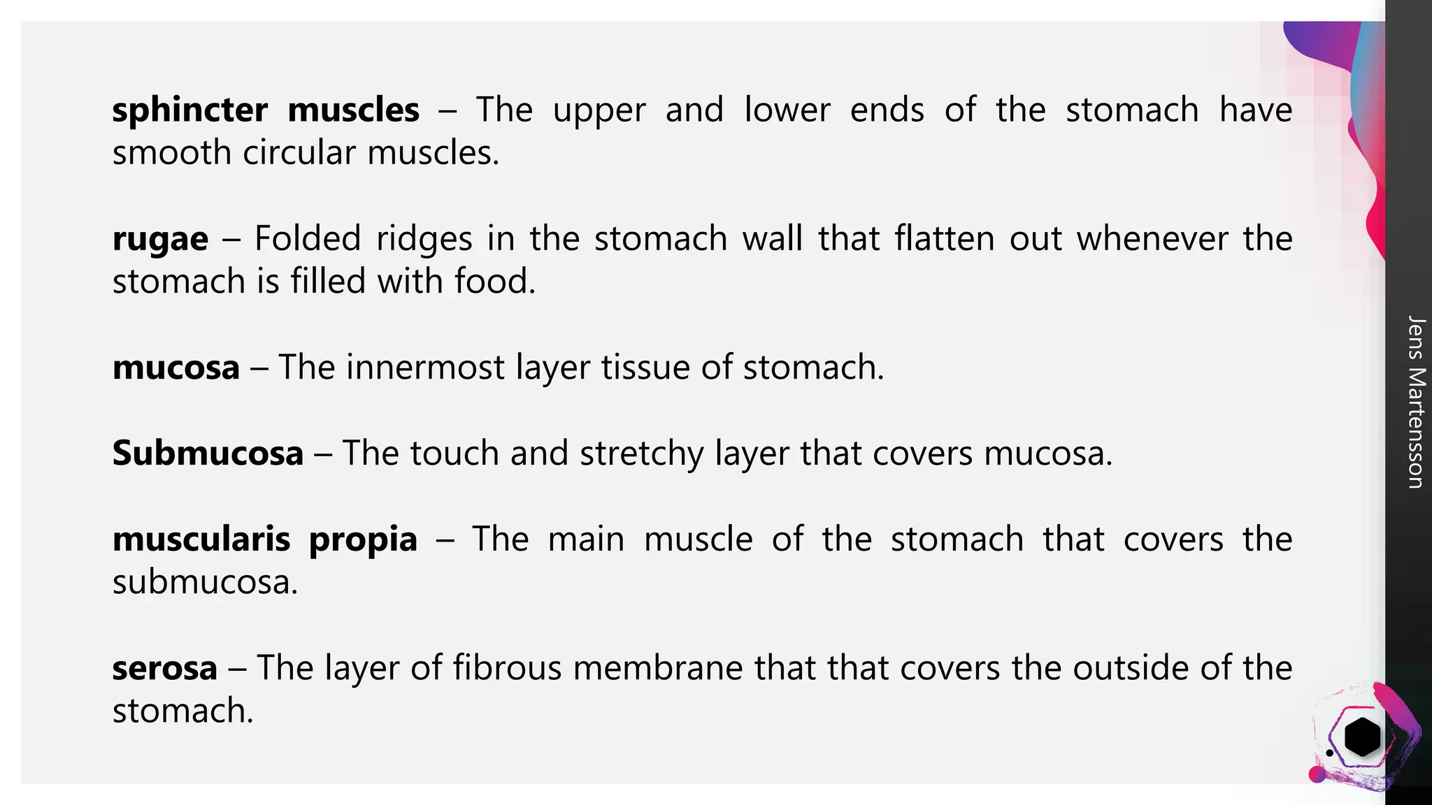 Digestive system | PPTX