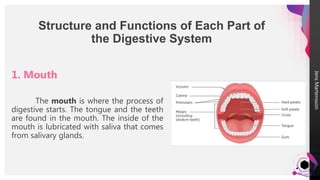 Digestive system | PPTX
