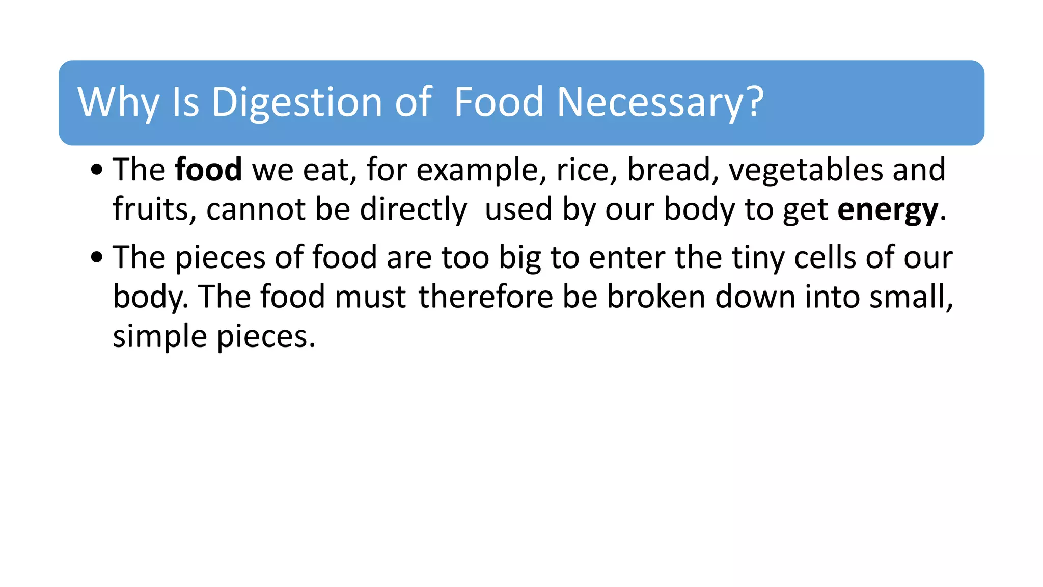 Digestive system | PPTX