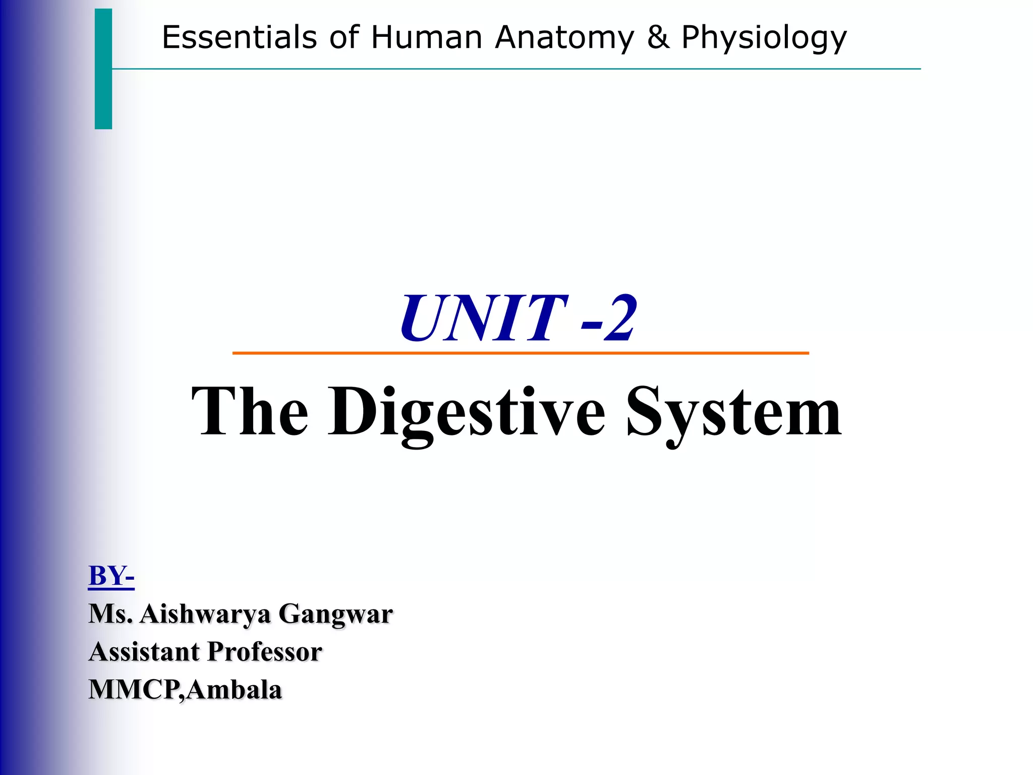 digestiVE SYSTEM.ppt