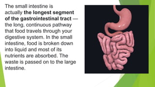 DIGESTIVE SYSTEM.pptx