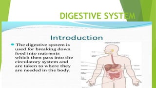 DIGESTIVE SYSTEM.pptx