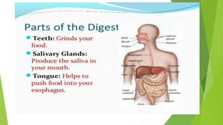 DIGESTIVE SYSTEM.pptx